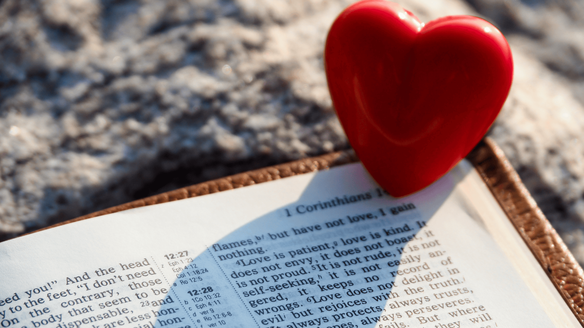 De liefde overtreft alles - Evangelisch College De liefde overtreft alles - Evangelisch College